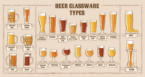 Beer types a visual guide Royalty Free Vector Image