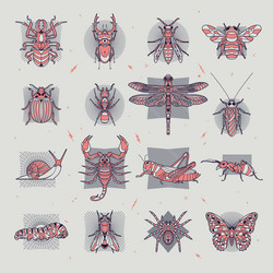 Label template with different types of insects Vector Image