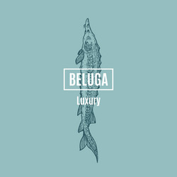 Beluga Logo Vector Images (over 150)