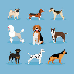 Dogs Vector Images (over 300,000)