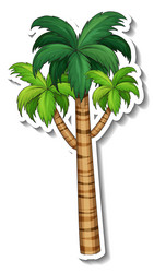 Palm tree sticker isolated on white background Vector Image