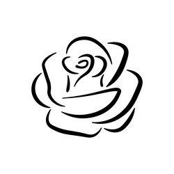 Red rose line art flower drawing Royalty Free Vector Image