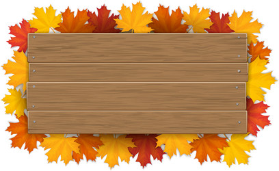 Empty wooden sign with color autumn tree branch Vector Image