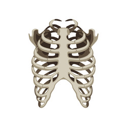 Skeleton Cartoon Vector Images (over 33,000)