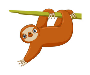 Joyful cute cartoon sloth hanging on a branch Vector Image
