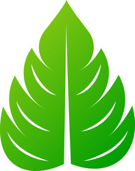 Birch leaf icon flat style Royalty Free Vector Image