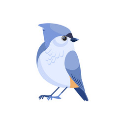 Songbird Vector Images (over 3,500)