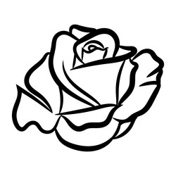 Red rose line art flower drawing Royalty Free Vector Image