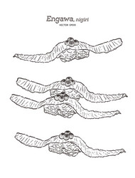 Flounder flatfish plaice fish sketch Royalty Free Vector