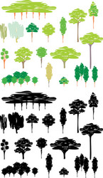 Tree types green forest pine treetops Royalty Free Vector