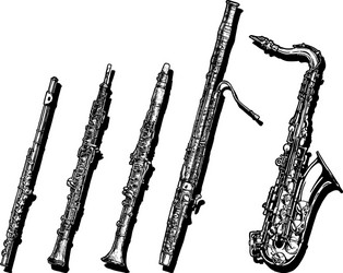 Woodwind musical instruments set Royalty Free Vector Image