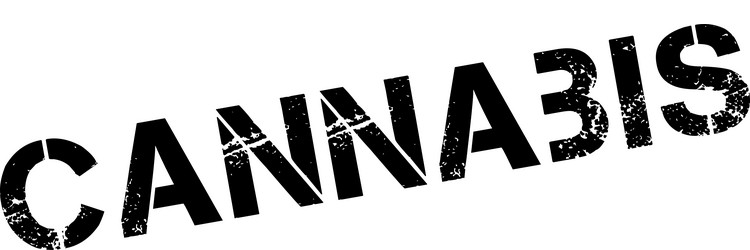 Cannabis rubber stamp Royalty Free Vector Image