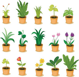Plant Vector Images (over 2 million)