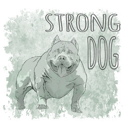 Beautiful background strong pit bull dog Vector Image