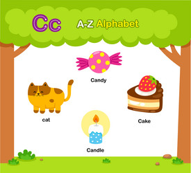 Alphabet letter c-cat exercise with cartoon Vector Image
