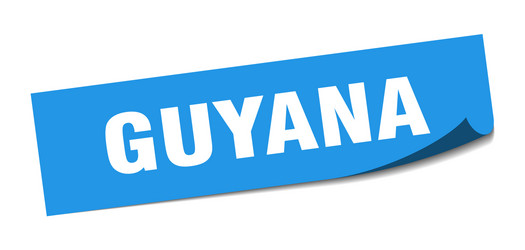 Welcome Guyana to Vector Images (91)