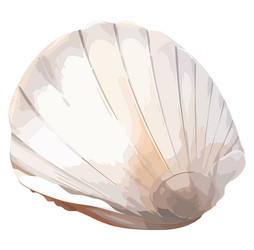 Ornate seashell symbol of tropical vacations Vector Image