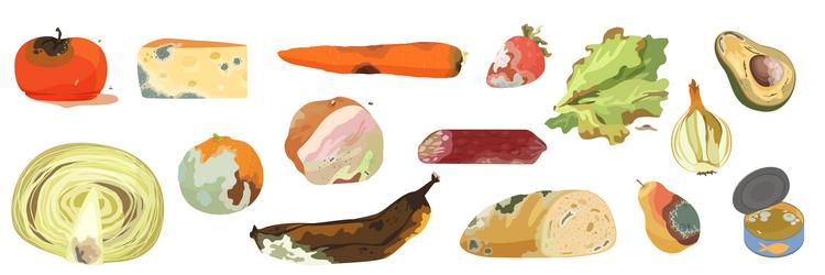 Rotten Food Clipart