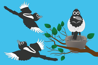Magpies Vector Images (over 1,400)