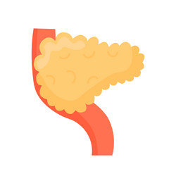 Pancreas Vector Images (over 6,000)