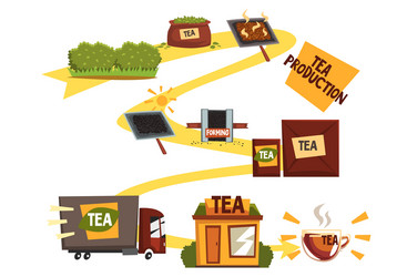 Tea production manufacturing process from Vector Image