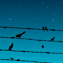 Birds on wire Royalty Free Vector Image - VectorStock
