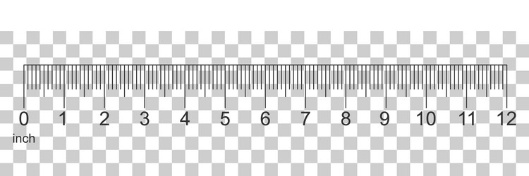 Ruler 5 inch icon in flat style meter measure Vector Image