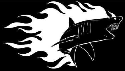 Danger shark with flames fon black background Vector Image