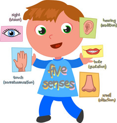Five senses boy coloring Royalty Free Vector Image