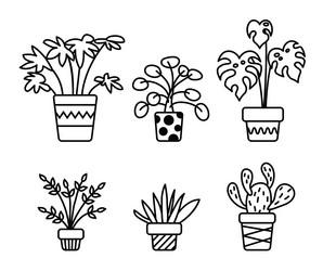 Continuous one line drawing plant in pot house Vector Image