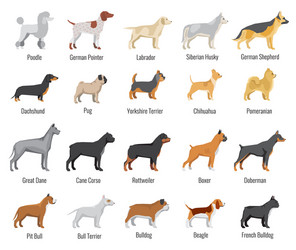 Dogs Breed Vector Images (over 56,000)
