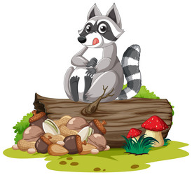 Cartoon raccoon in the autumn weather Royalty Free Vector