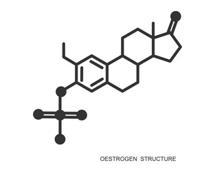 Estrogen hormone science symbol oestrogen female Vector Image