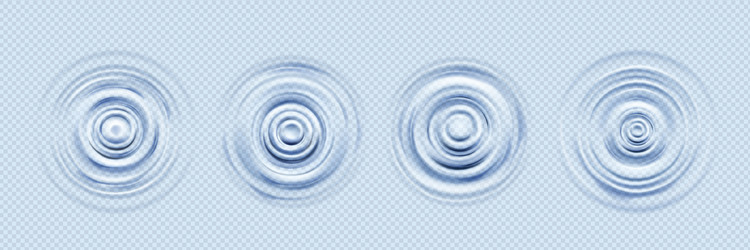 Drops and ripples circular wave on water surface Vector Image