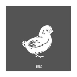 Chick Vector Images (over 28,000)