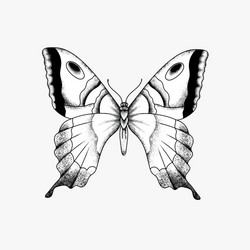 Drawing yellow swallowtail butterfly Royalty Free Vector