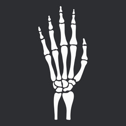 Skeleton hand clenches into a bony fist gesture Vector Image