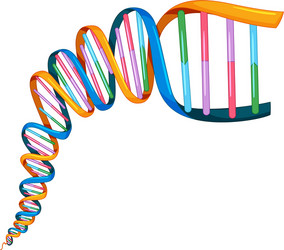 Star shape balloons in many colors Royalty Free Vector Image