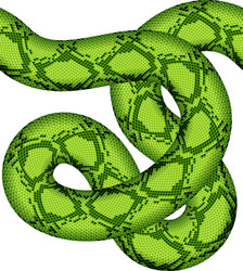 Snake Pattern Vector Images (over 10,000)