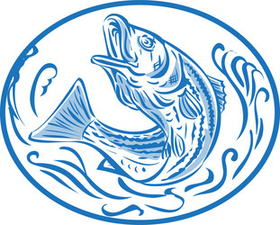 Rockfish Vector Images (over 150)