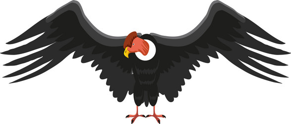 Condor Animal Vector Images (over 430)