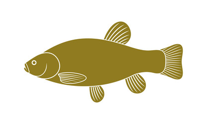 Tench Vector Images (61)