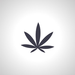 Leaf of marijuana icon marijuana isolated Vector Image