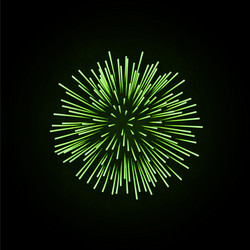 Beautiful green firework bright isolated Vector Image