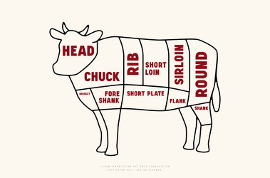 Cartoon beef meat cuts diagram line art Royalty Free Vector