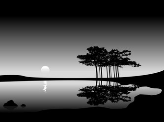 Reflecting Vector Images (over 300,000)