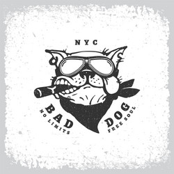 Bad Vector Images (over 100,000)