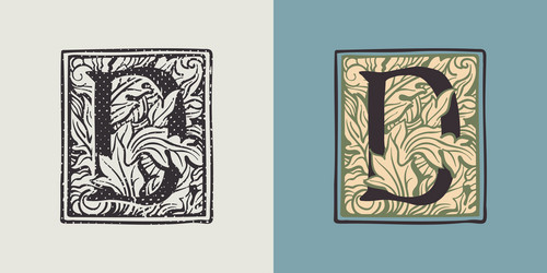 D letter drop cap logo square medieval initial Vector Image