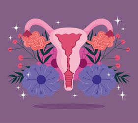 Female Reproductive System Vector Images (over 4,300)