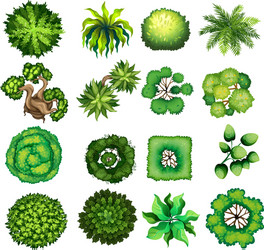 Cartoon Grass Top View Vector Images (over 650)